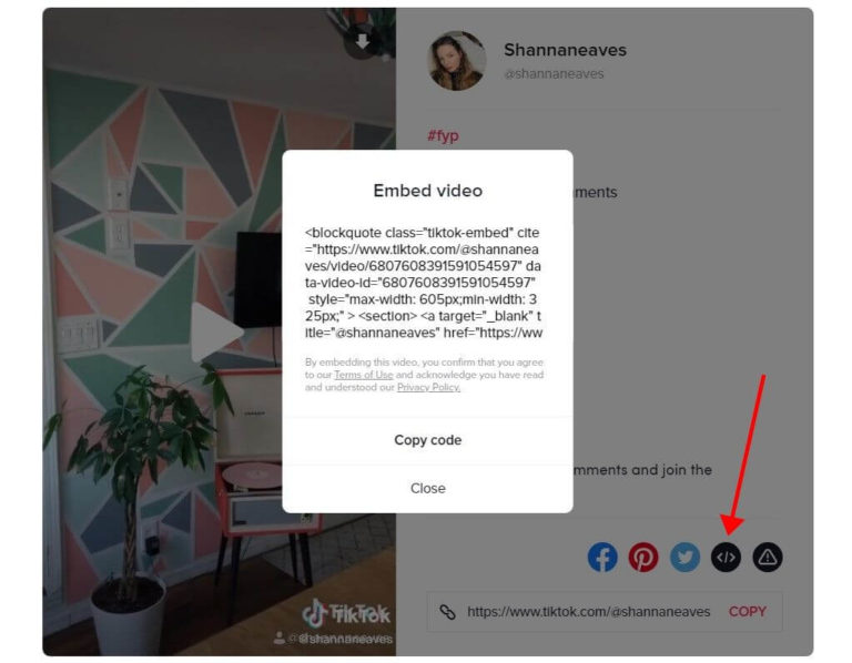 Die ultimative Anleitung zum Einbetten von Videos auf Ihrer Website ...