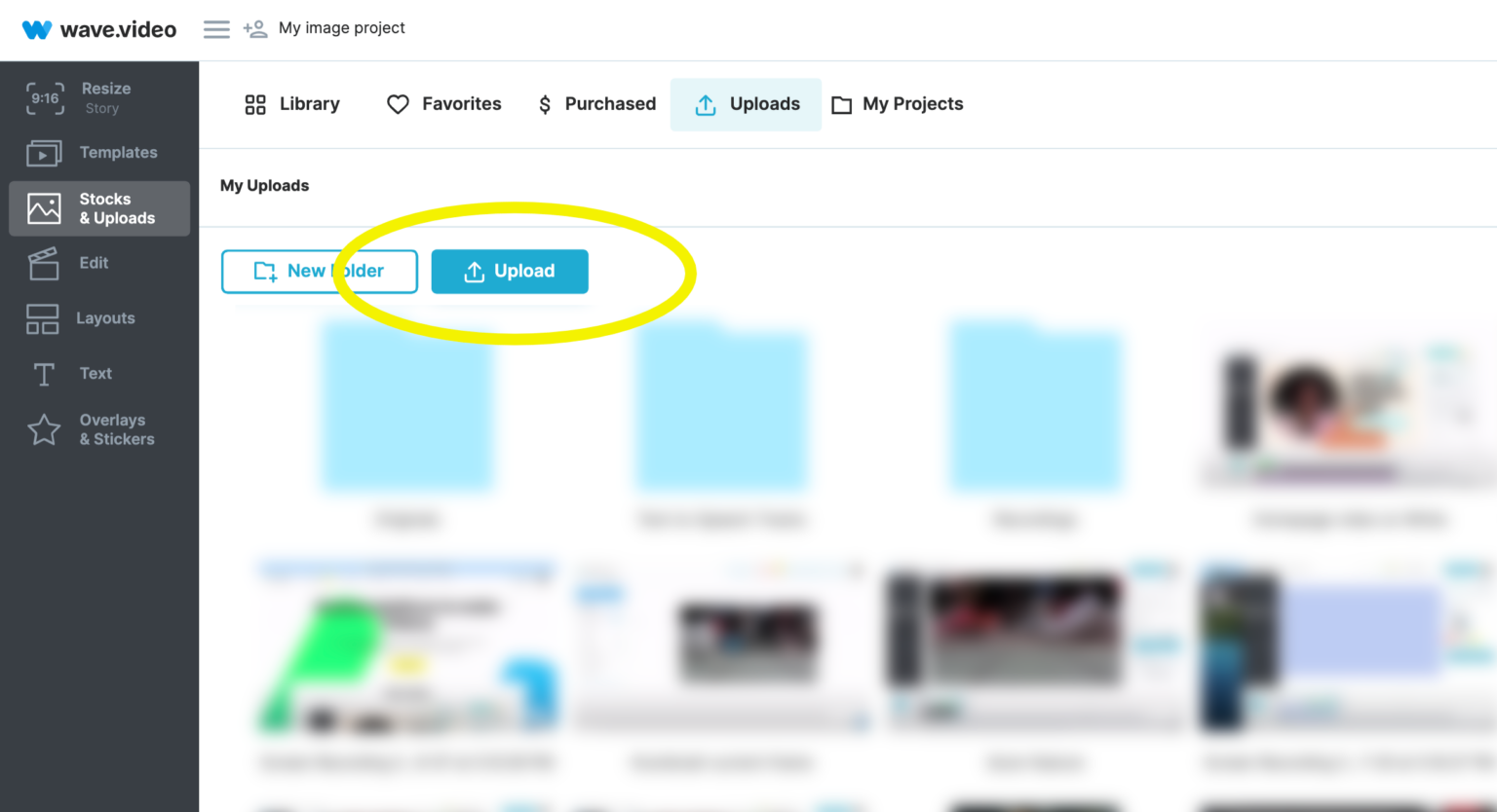 Top 10 Creative TikTok Profile Picture Ideas - Wave.video Blog: Latest ...